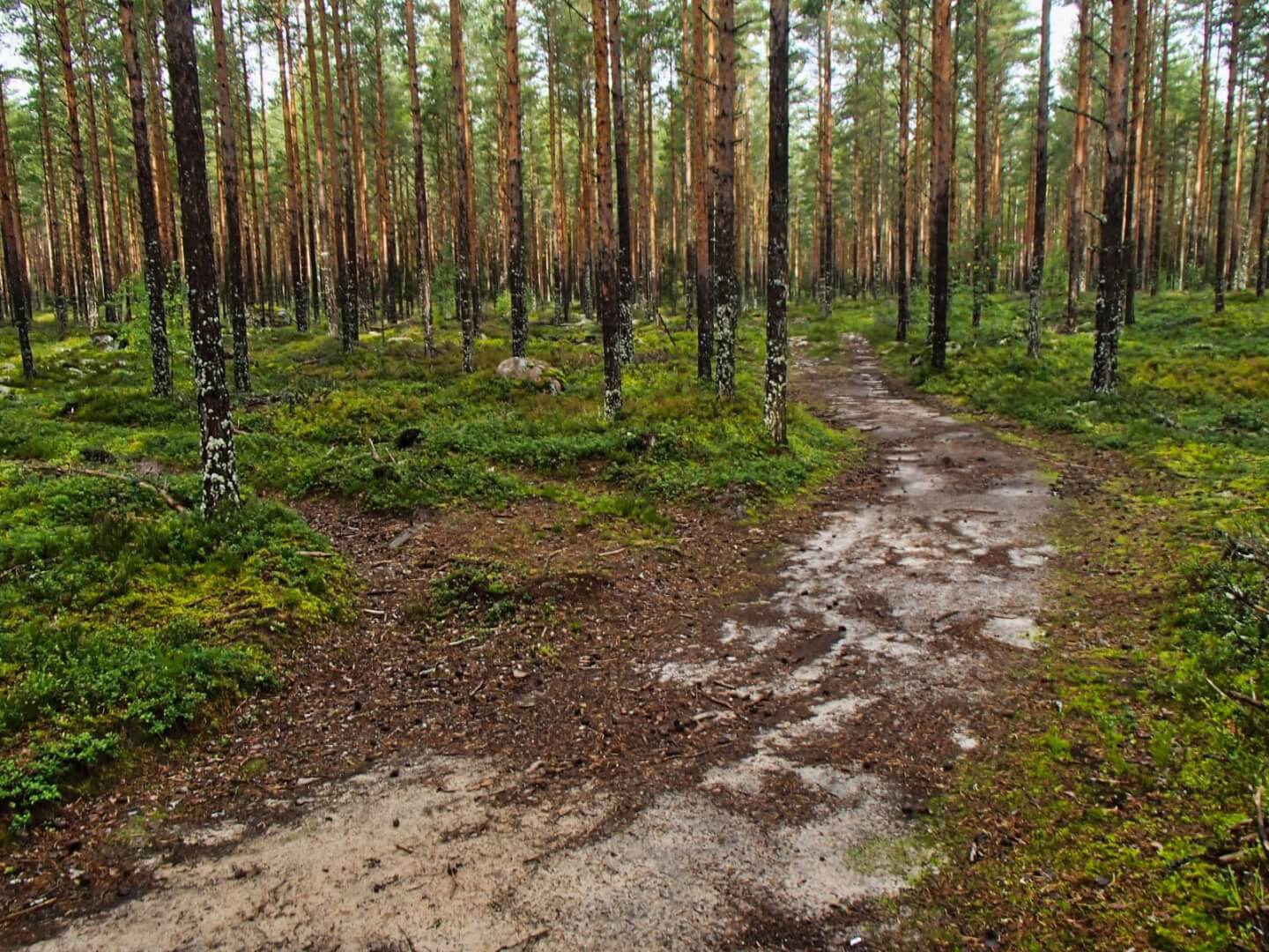 Pori-Rauma-Turku maastopyörällä