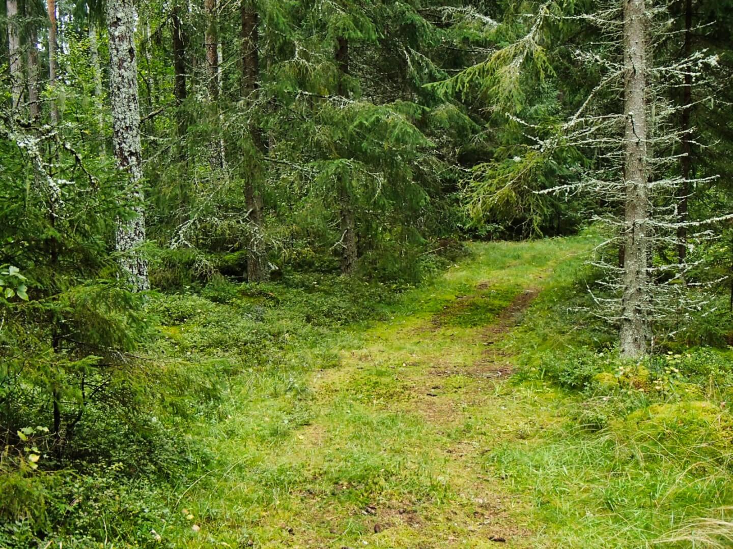 Pori-Rauma-Turku maastopyörällä