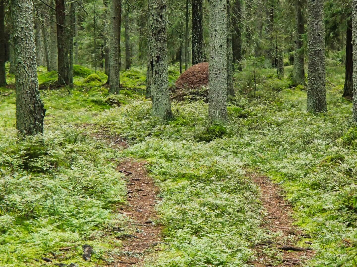 Pori-Rauma-Turku maastopyörällä