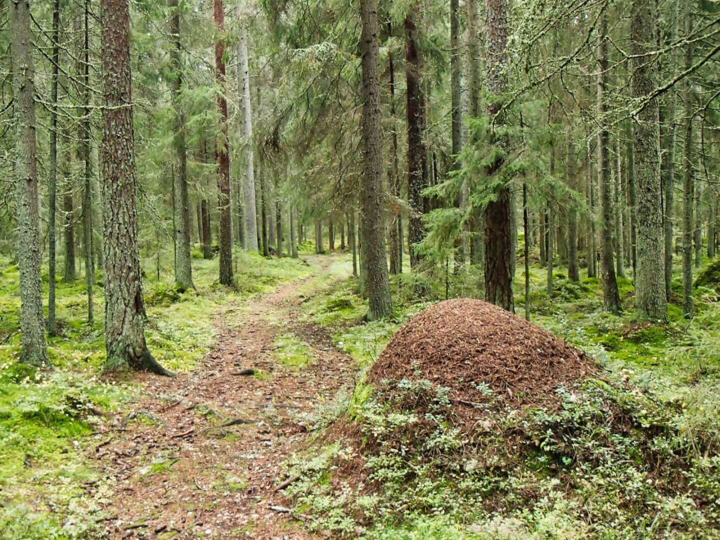 Pori-Rauma-Turku maastopyörällä